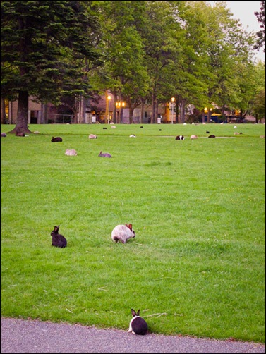 Agnete og Mortens jordomrejse: Familie-tamtam og vilde dyr